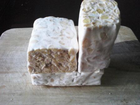 Tempe | Intimate Indonesia