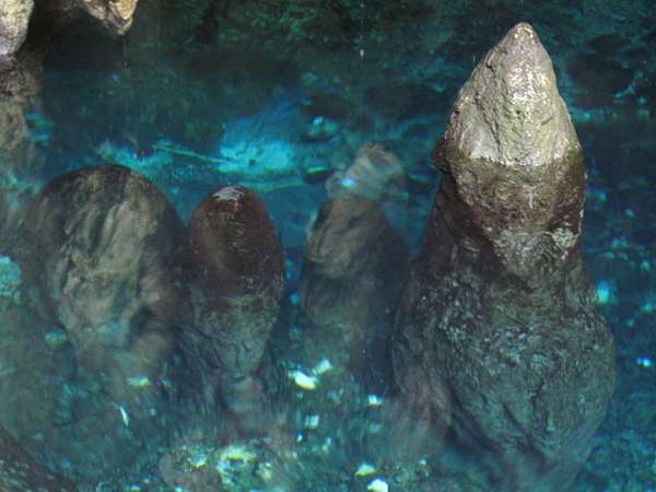 Pesona Wisata Maluku Tenggara: GOA HAWANG