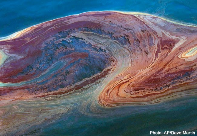 RTSea Blog: observations on oceans, sharks and nature: Oil Effects ...