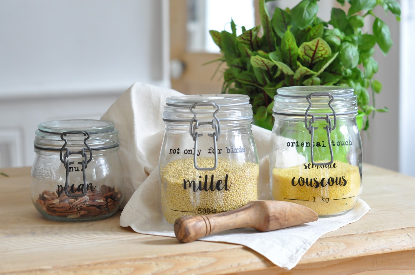 L'Art de la Curiosité Classic: Bô mes bocaux