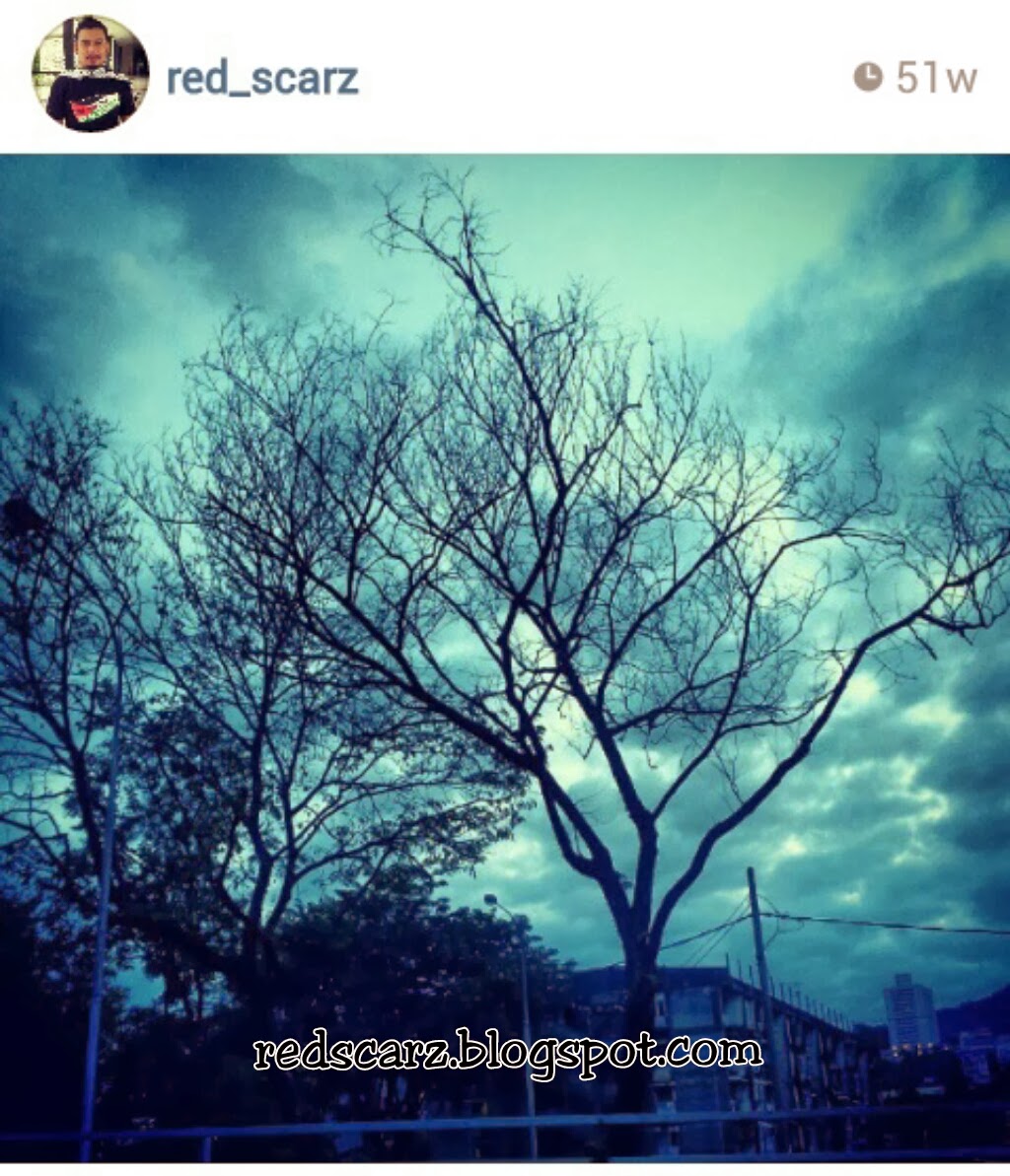 DAUS REDSCARZ: Aku & S2 Part 16 :: Pokok dan Ranting