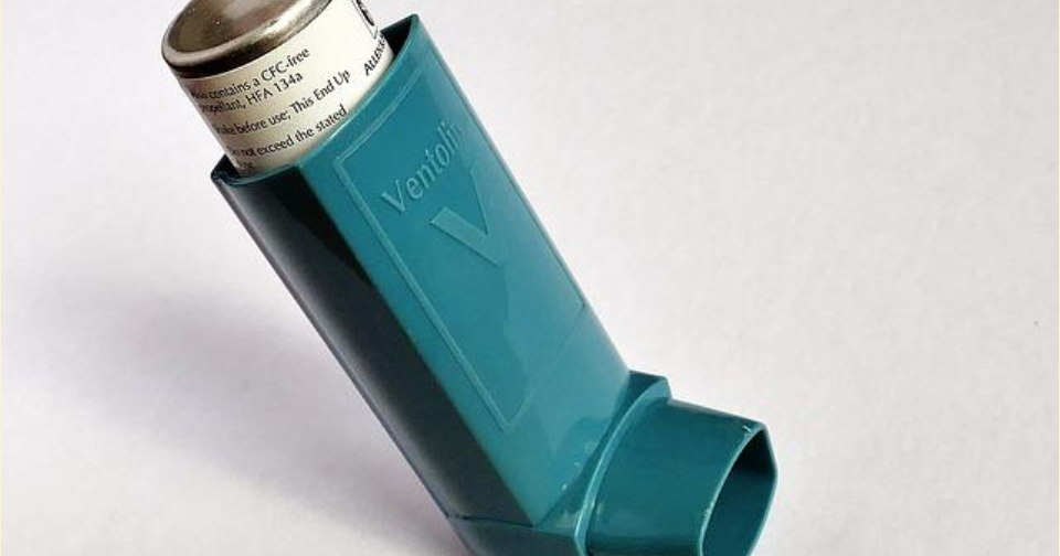 LugarSalud.es | el Lugar de la Salud: Los Antiasmáticos, introducción y ...