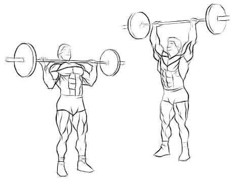 Real Brawn: Military Press