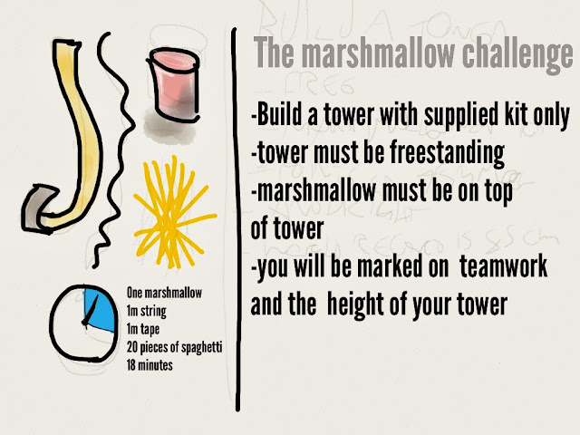 Ropes and Poles: The Marshmallow Challenge