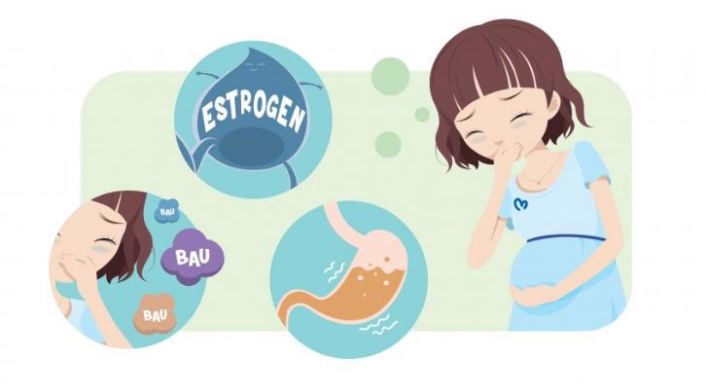 Mual Saat Hamil Merupakan Pertanda Baik - Bingkai Banua