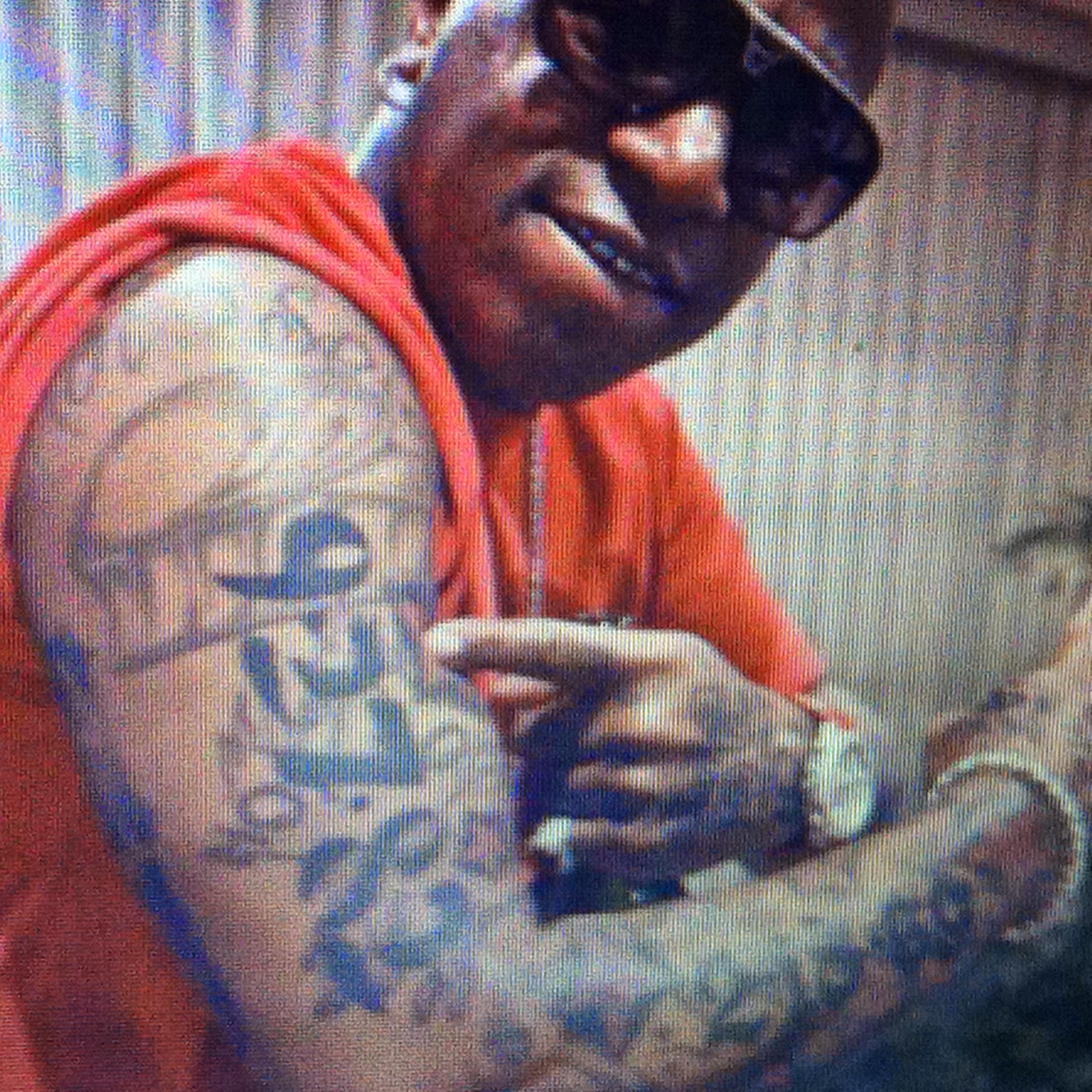 THE BLACK SOCIAL HISTORY:: BLACK SOCIAL HISTORY : AFRICAN AMERICAN ...