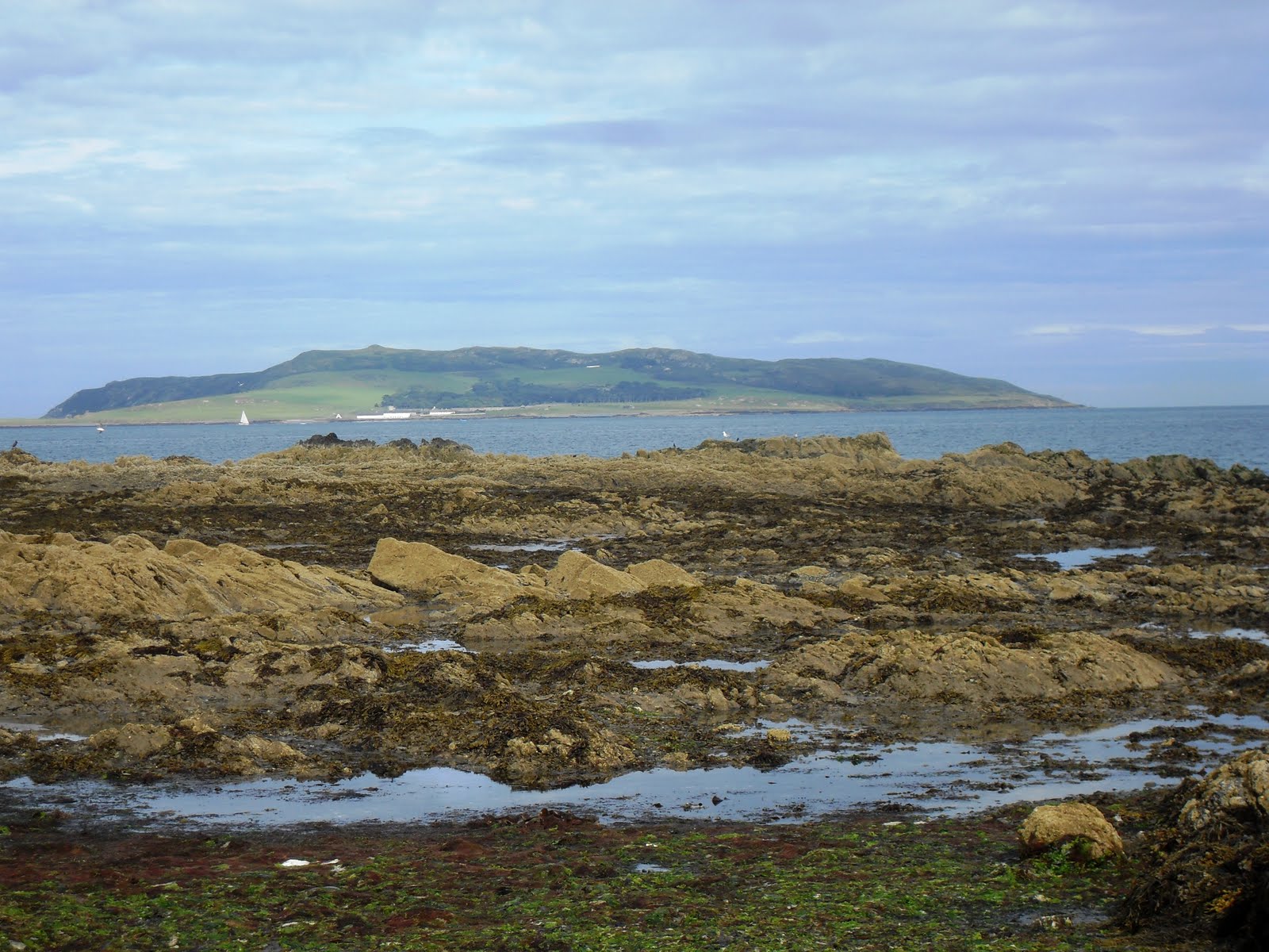 Patrick Comerford: Raising money at the book stall and walking the ...