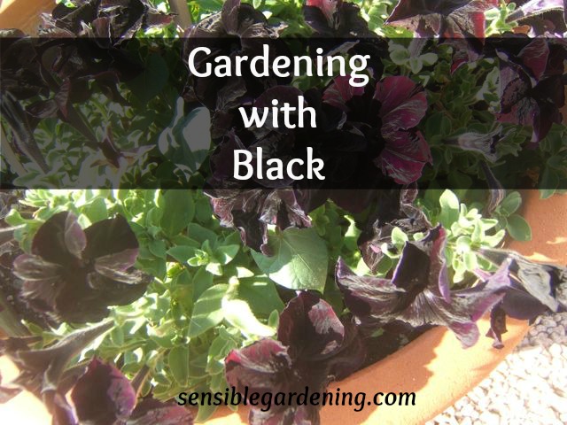 #BBColorOurWorld~Black | Our Good Life