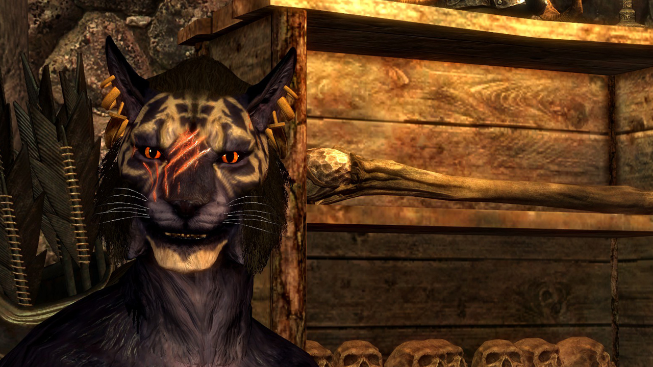 Mog Anarchy's Gaming Blog: My Skyrim Mods List