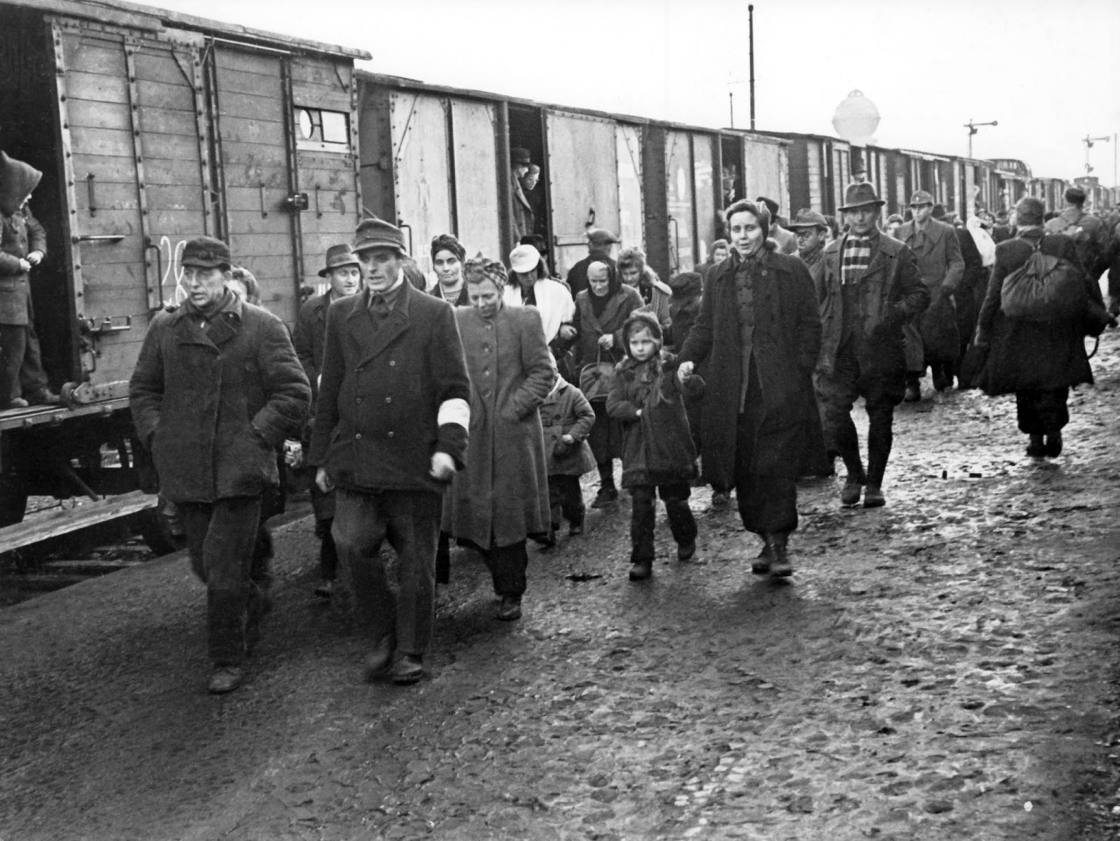 21 Haunting Vintage Pictures of the Refugee Crisis Caused by World War ...