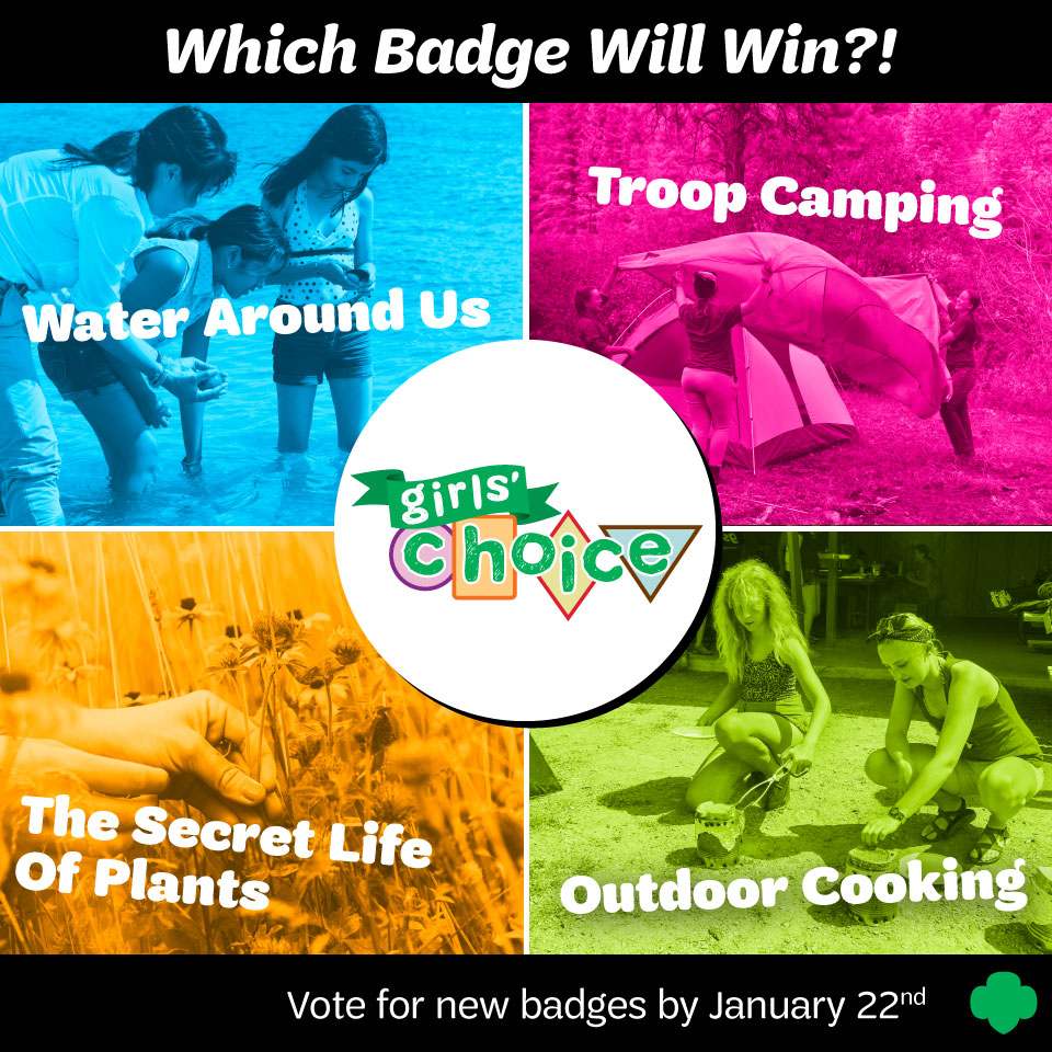 Girl Scouts of Southern Illinois: Troop Camping Selected as Girls ...
