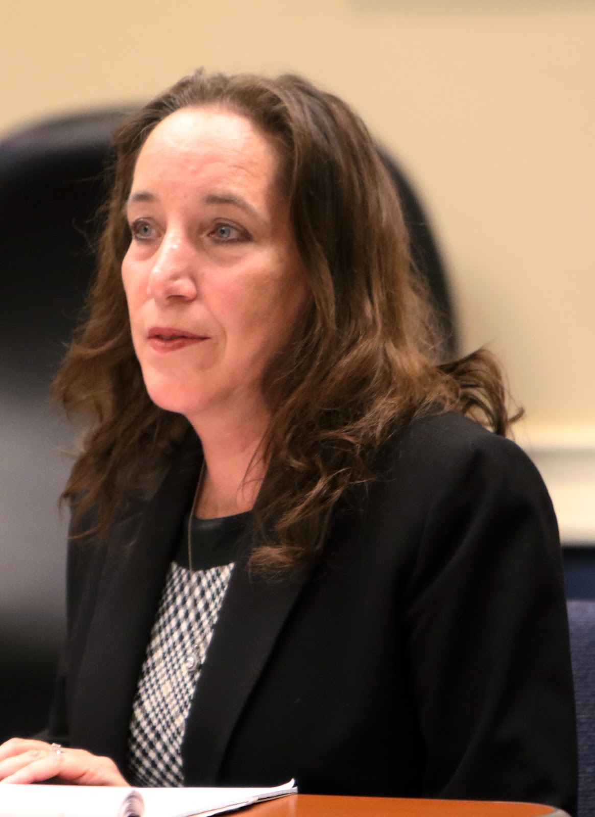 Mark Kodiak Ukena: Fox Lake Village Hall Meeting