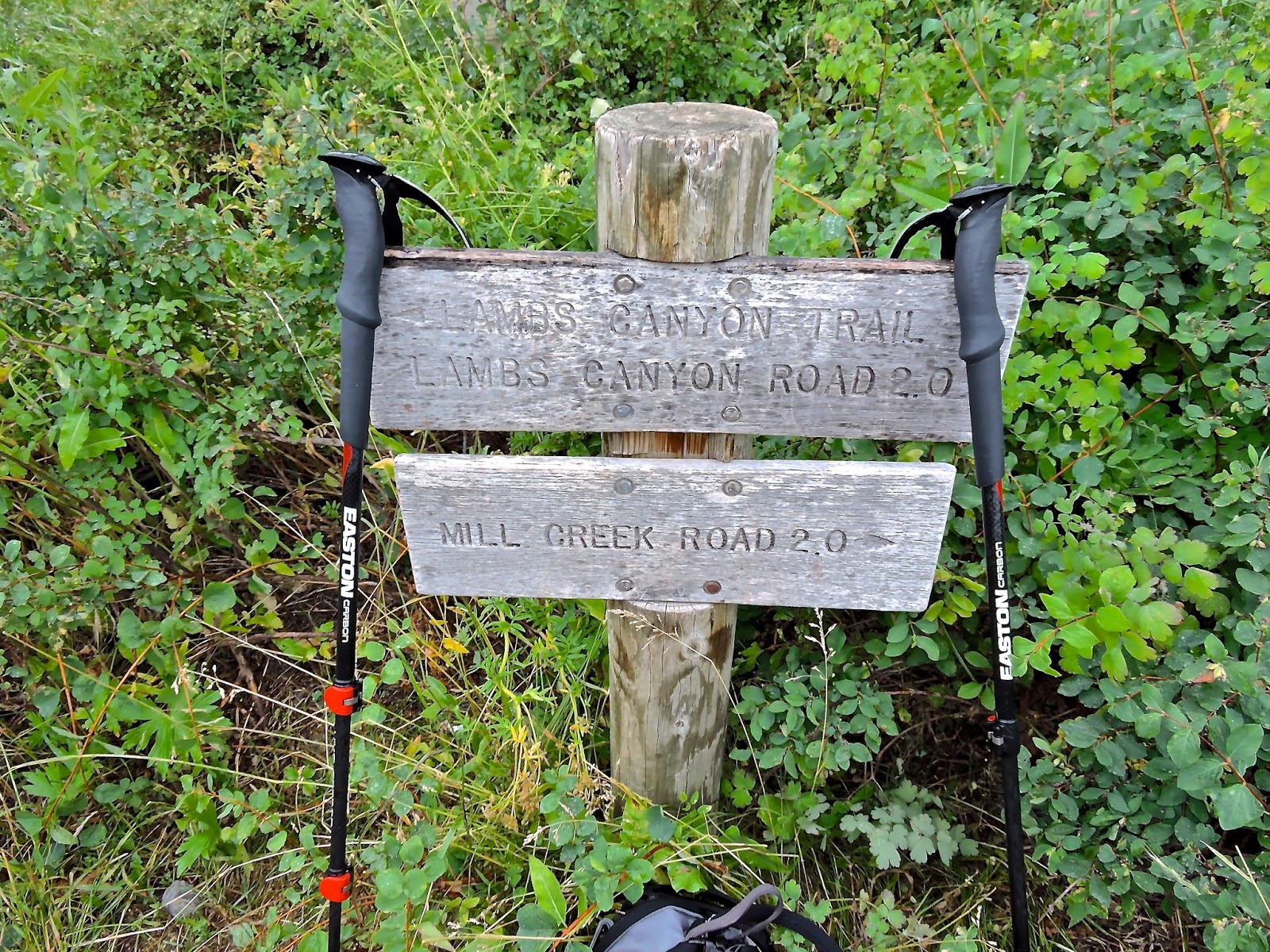 Tales From My Trekking Poles