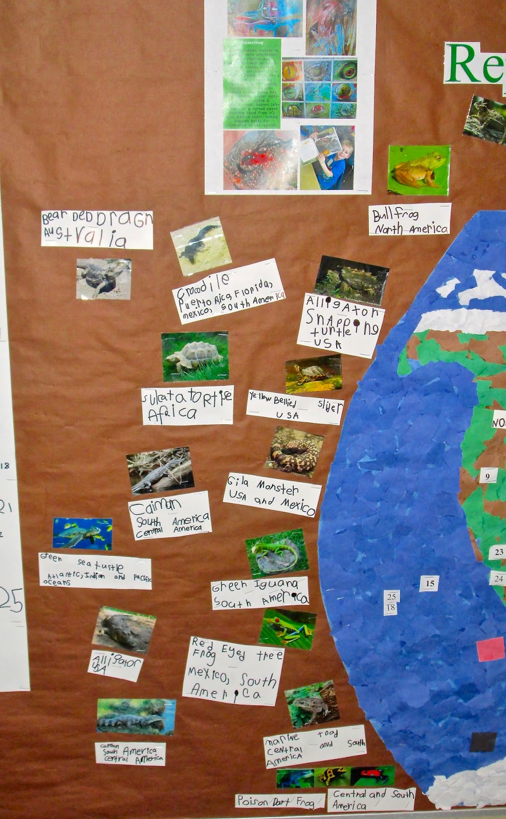 Mrs. Garrabrant's Classroom: Preparing For Our Reptile/Amphibian Open ...