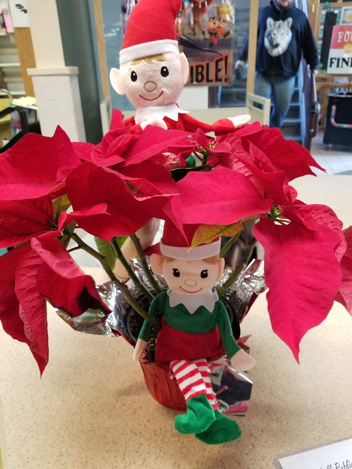 Display Lit: Library Elves