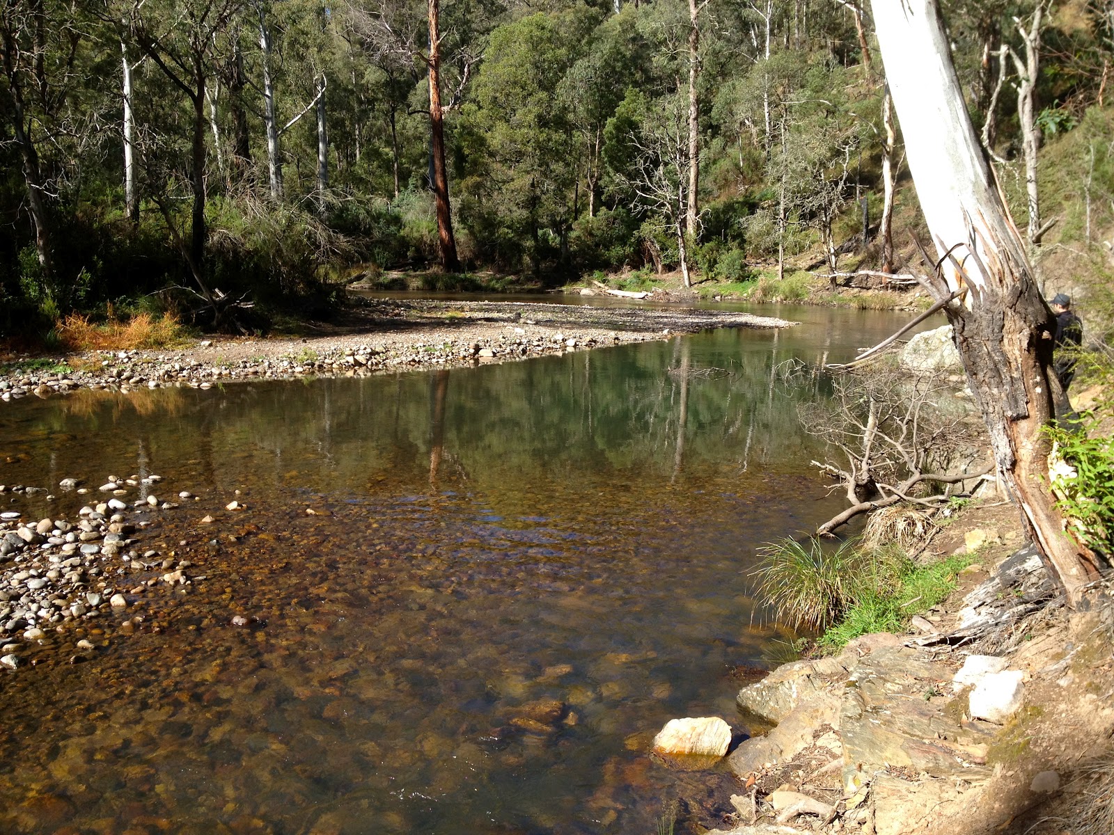 Fishing Australia Crew: Howqua River