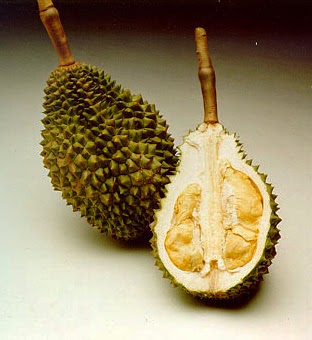 Durian Info: Planting A Good Mix Of Durian Varieties