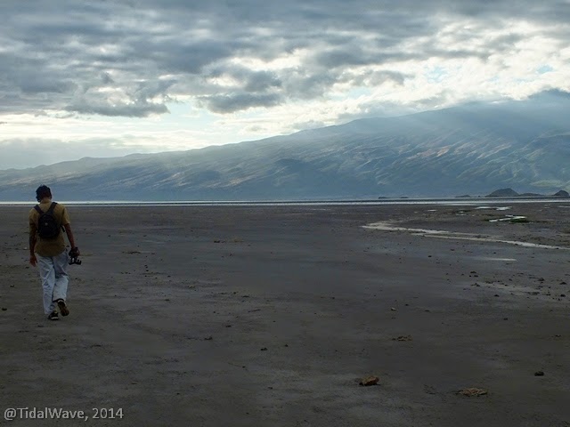 Travel and food tales: From green to gray, the stark beauty of Lake Natron