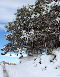 REFLEXIONES: ¡Nieve!