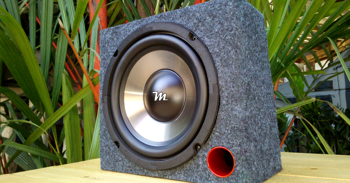 DIY Mini Subwoofer: Mini Subwoofer Wild