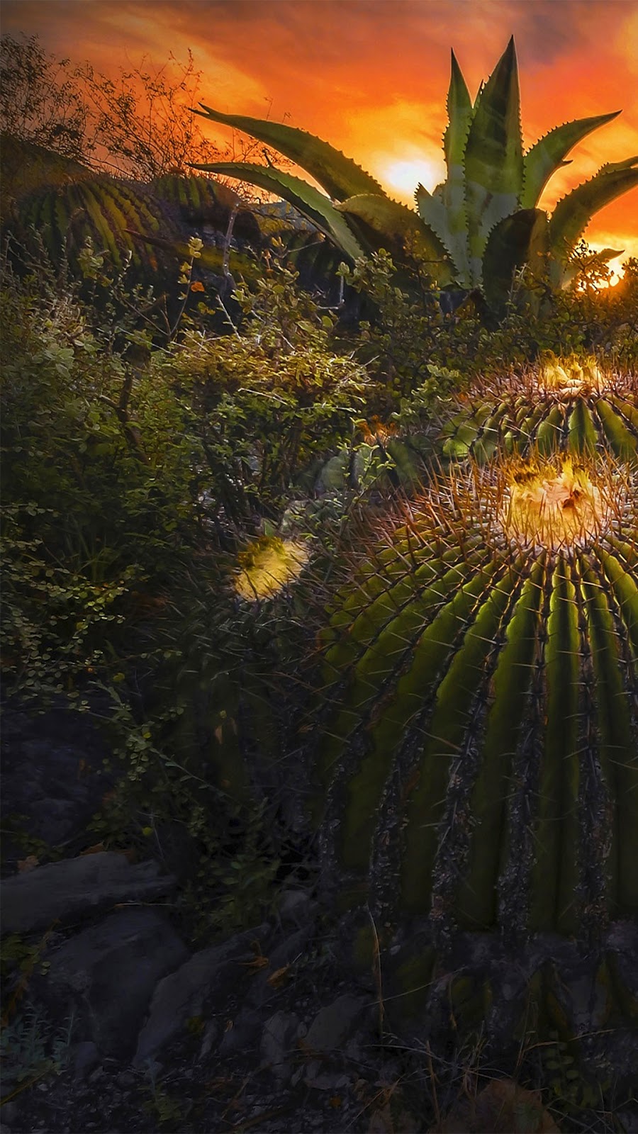 Wallpapers android pack 42