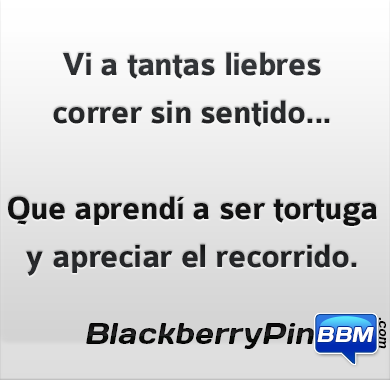 Aprendi a ser tortuga... Imagen con frase motivadora para el pin ...