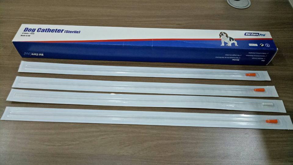 jual kateter anjing dan kucing