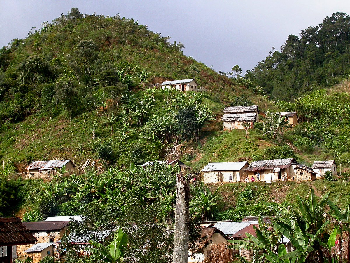 Madagascar - Parc national de Ranomafana - Les routes de tous les voyages