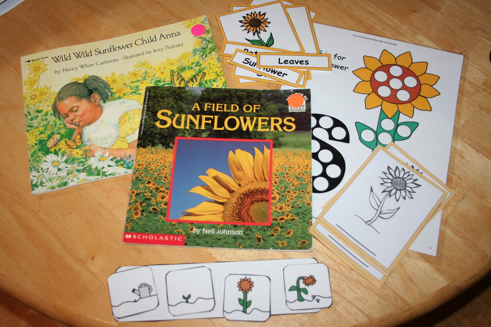 Our Country Road: Montessori Unit Lessons: Sunflowers