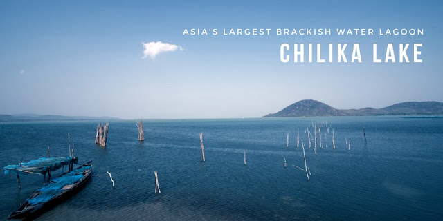 Chilika Lake – Asia’s Largest Brackish Water Lagoon. - BEST OF ODISHA