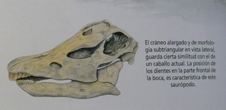 Arturo de Miguel - Wildlife Art: Dinosaurios del Jurásico de Asturias II.