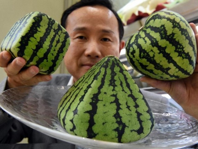 Odd Shaped (Cube-shaped, Heart-shaped, Pyramid-shaped) Watermelons ...