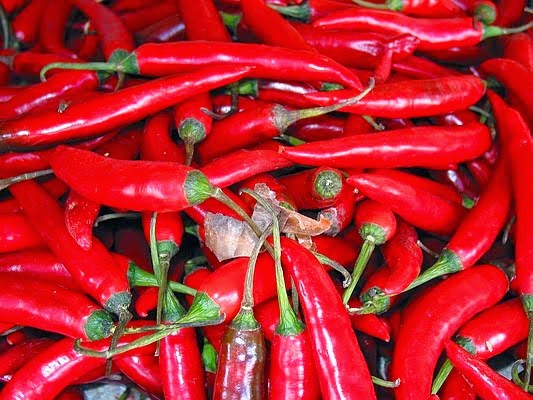 MANFAAT SAYUR SAYURAN: Cabai