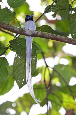 Grass for my Feet: January 2012