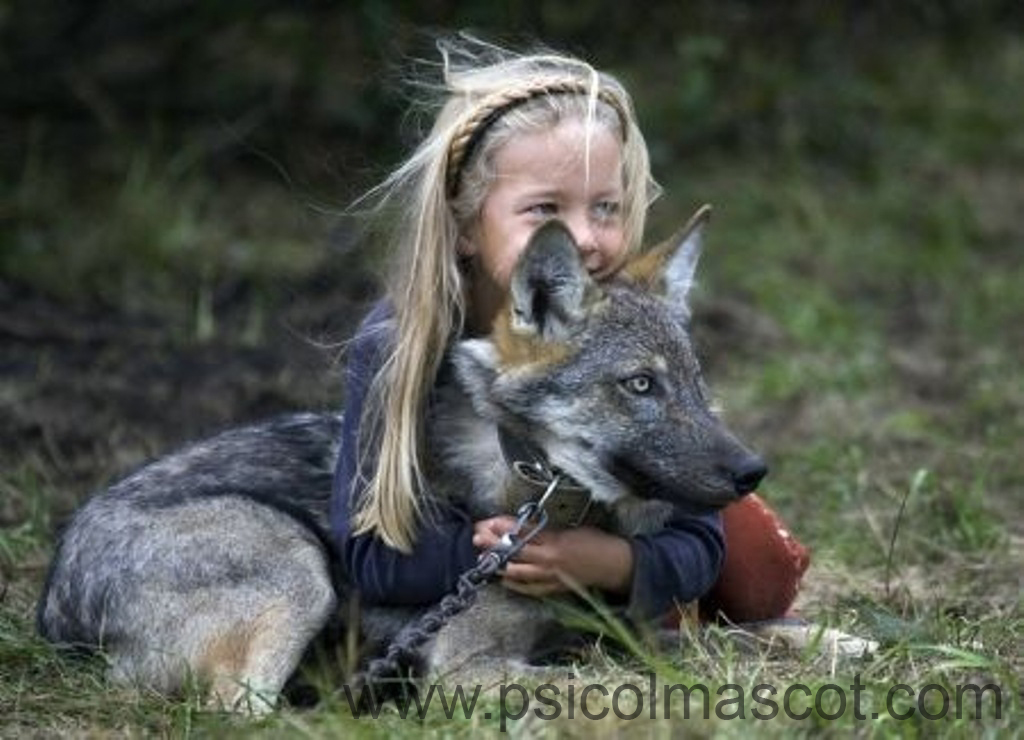 PSICOLMASCOT: Lobo Perro Humano: El Viejo Triángulo