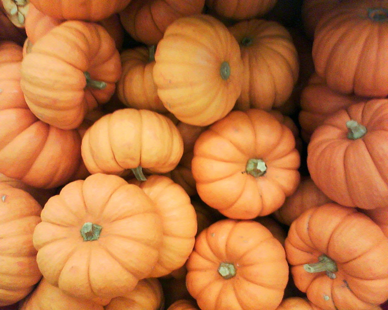 La Buena Noticia del Día