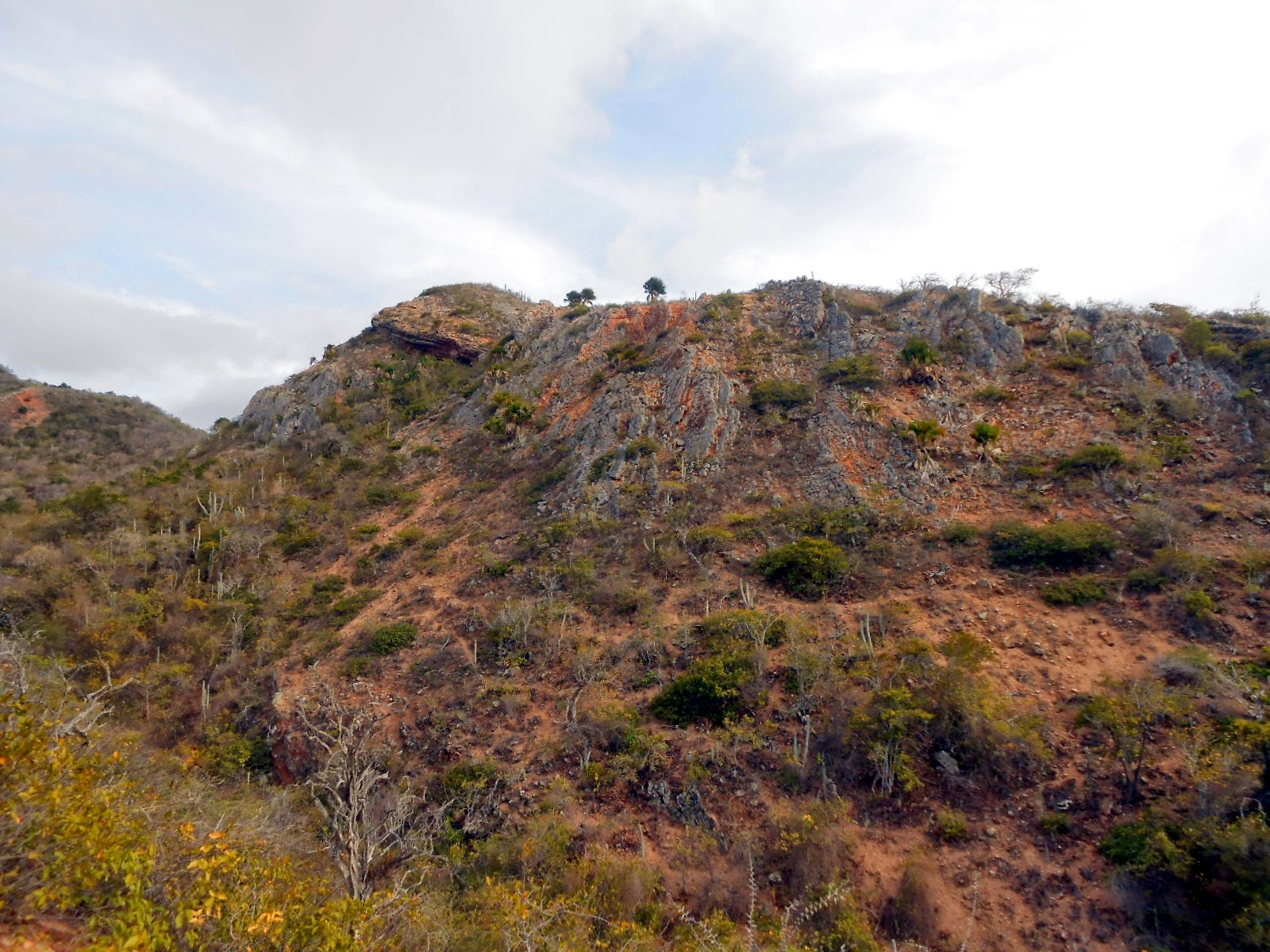 Hiking Curaçao - The Trails: Kayuda Rooi,Regenbak, inloopwaterput ...