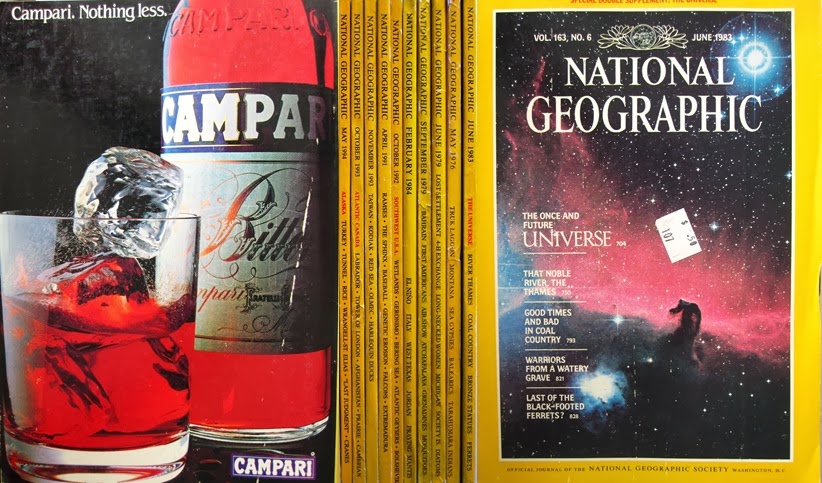 The Shopping Sherpa: 2013