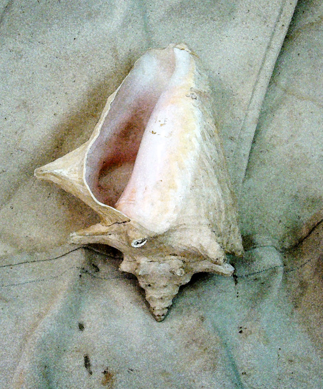 Blues Valley: The Brazos Valley Music Scene: Chapter Ten: Blues Valley ...