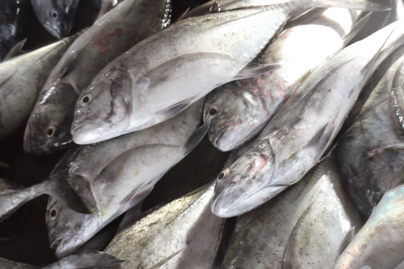 NEGOMBO SEAFOODS: ATANAGULU PARAWA