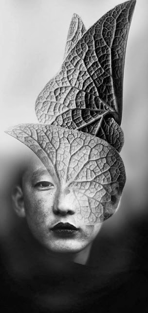 Cromofora La ( Paloma) Contemporary Online Art Gallery: ANTONIO MORA