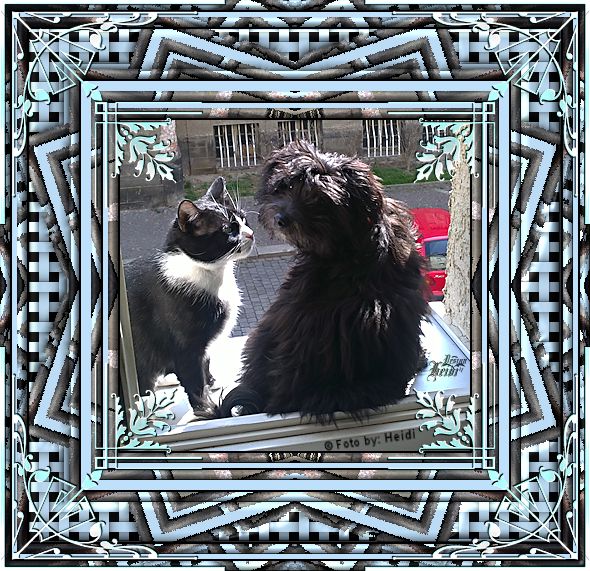 Renys Tutoriale: Rahmen_Zauber