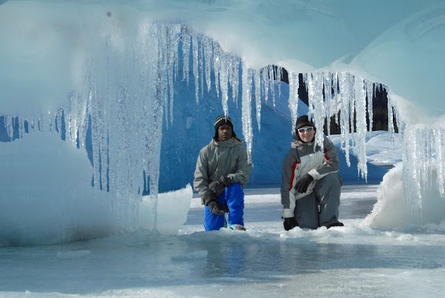 The Show and Tell Nature Blog: Suicidal Tendencies