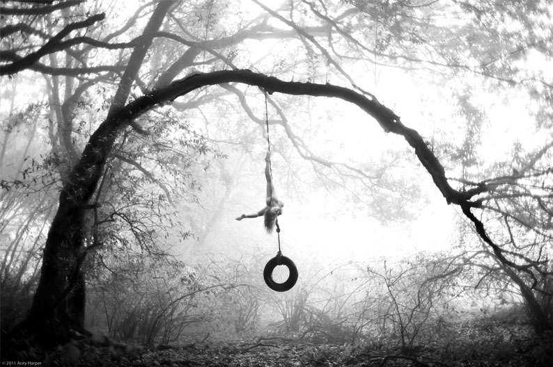 ONE LIFE IN STILLS: artist spotlight: harriet heyman and acey harper