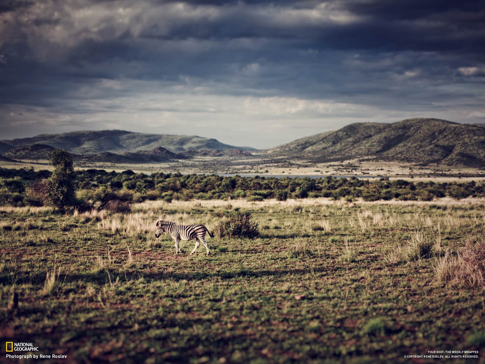 Free Wallpapers | Sceneries Wallpapers | Love Wallpapers | Wallpapers