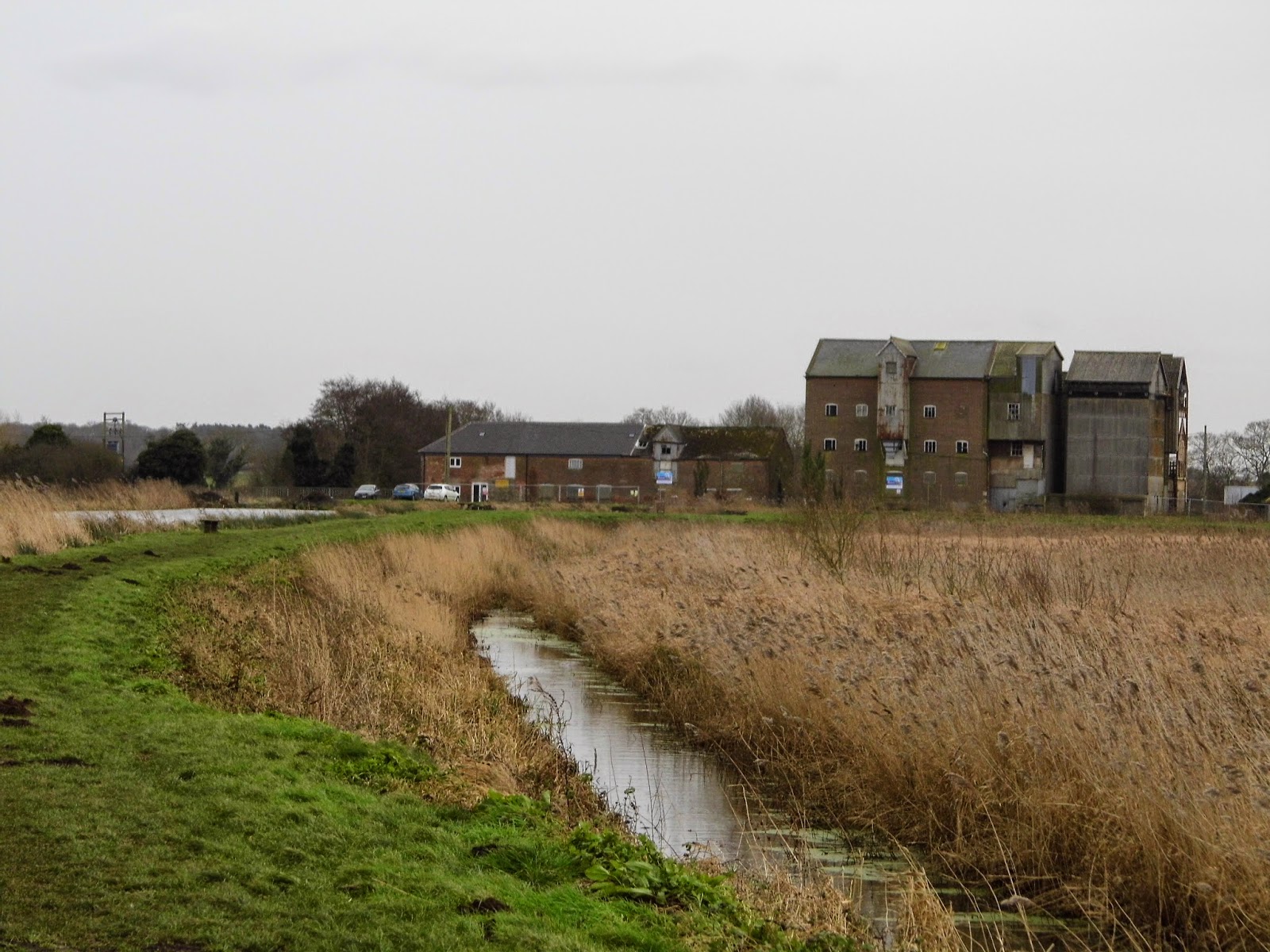 Birds and Beer: NORTH WALSHAM AREA: Ebridge & Witton Woods