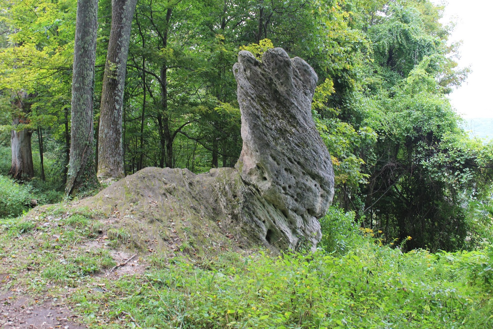 Walking Man 24 7: Tyringham Cobble(Southern Berkshires)