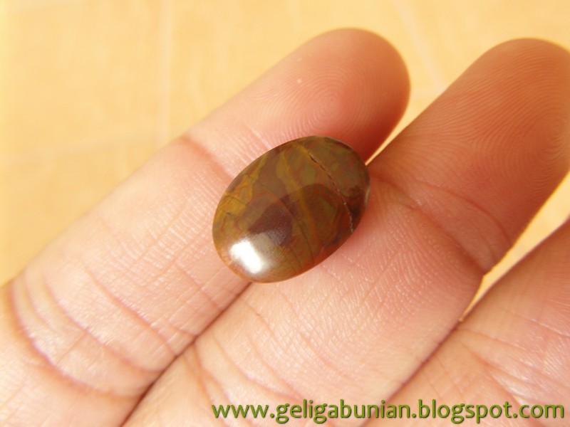 BLOG UTAMA Y.M PADUKA AYAHANDA PAY 8: GELIGA SELARAK MERAH