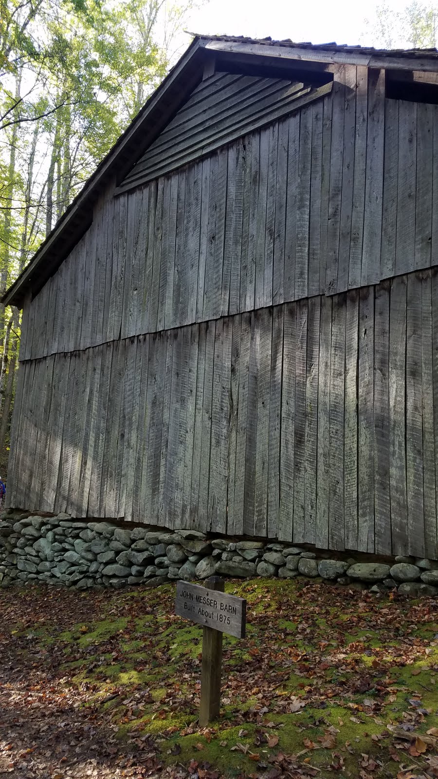 Beyond My Couch: Porters Creek Trail