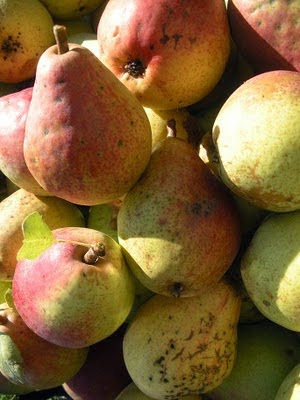 Spiked Pears